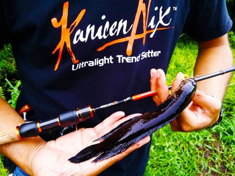 Muhammad Zafri: Trip Mancing Memburu Ikan Haruan Runtu di Sarawak