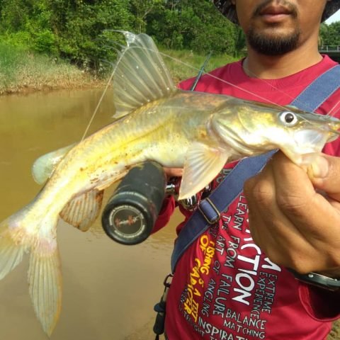 Hairz Zer: Rindu Sebarau Terubat Dengan Ikan Temperas