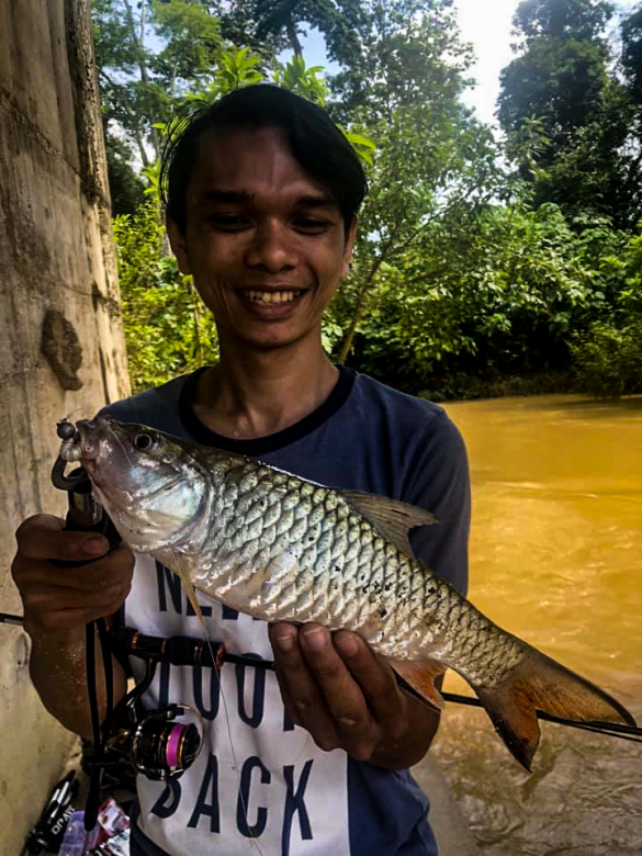 Teknik Yang Sesuai Memikat Ikan Sebarau Menggunakan Soft Plastik Grenti ...