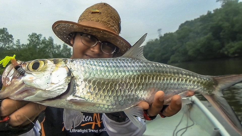 TIPS PANCING: 3 TIPS MUDAH MANCING IKAN BULAN