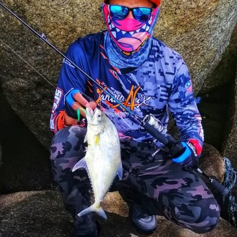 Golden Trevally, Diamond Trevally, Malabar Trevally, Gerong Belang ...