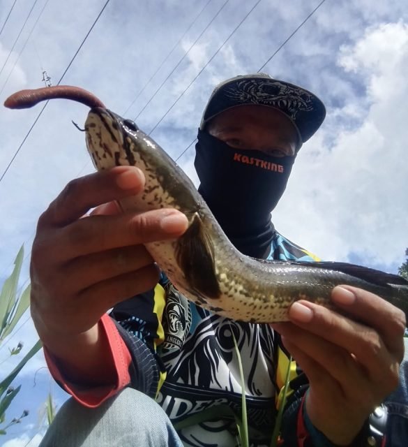 Ultralight Fishing Sarawak With Kanicen Nix - The Brand For Ultralight ...