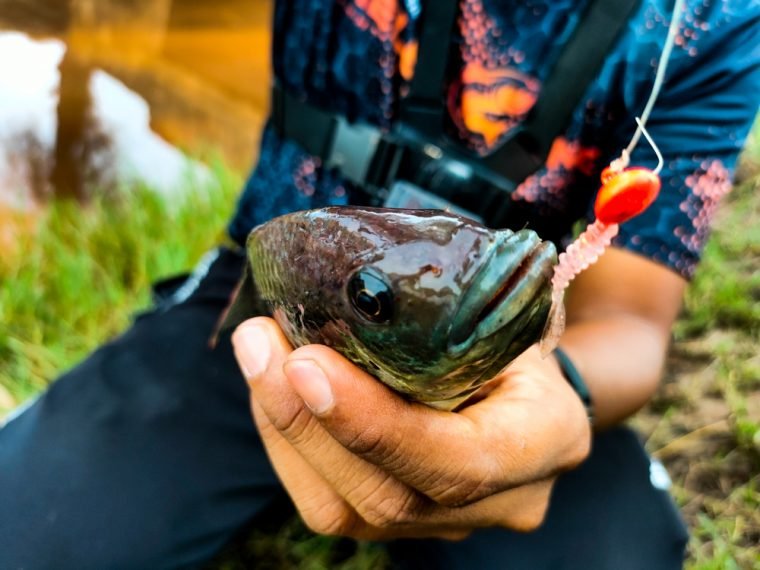 Short But Sweet Trip To Hunt Barramundi