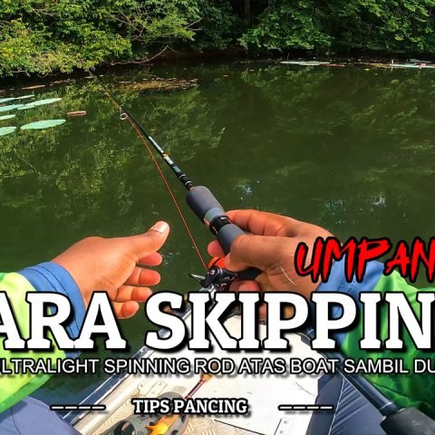 TIPS PANCING: CASTING KERANDANG KALIMANTAN MENGGUNAKAN GELI GELI WORMS